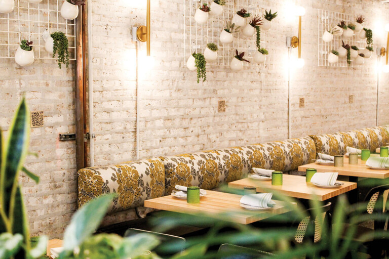 Smooth Operator: Spotlight on Bloom Plant Based Kitchen