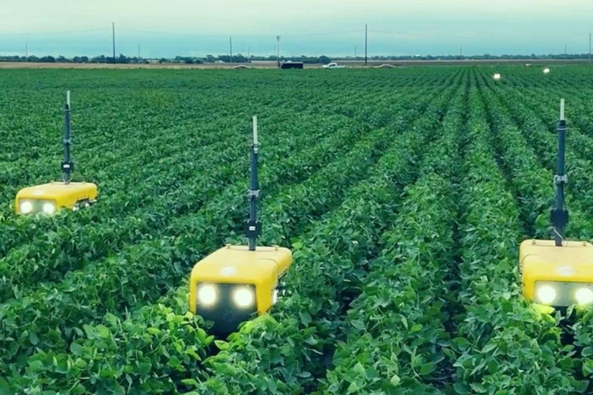 Chipotle Invests in Regenerative Farming, New-Age Fertilizer ...